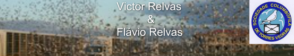 História :: Victor Relvas & Flavio Relvas
